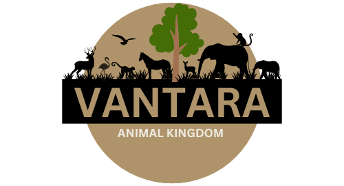 PM Narendra Modi visits Vantara zoo in Jamnagar, feeds lion cubs and ... PM Narendra Modi visits Vantara zoo in Jamnagar, feeds lion cubs and ...