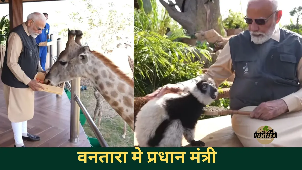 PM Narendra Modi visits Vantara zoo in Jamnagar, feeds lion cubs and ... PM Narendra Modi visits Vantara zoo in Jamnagar, feeds lion cubs and ...